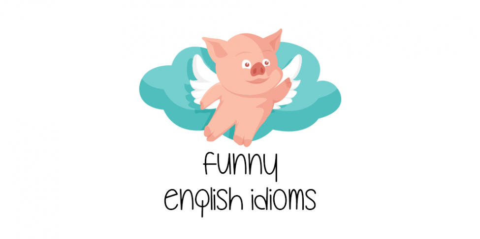 40 Bizarre Yet Funny English Idioms to Help You Sound Like a Native ...